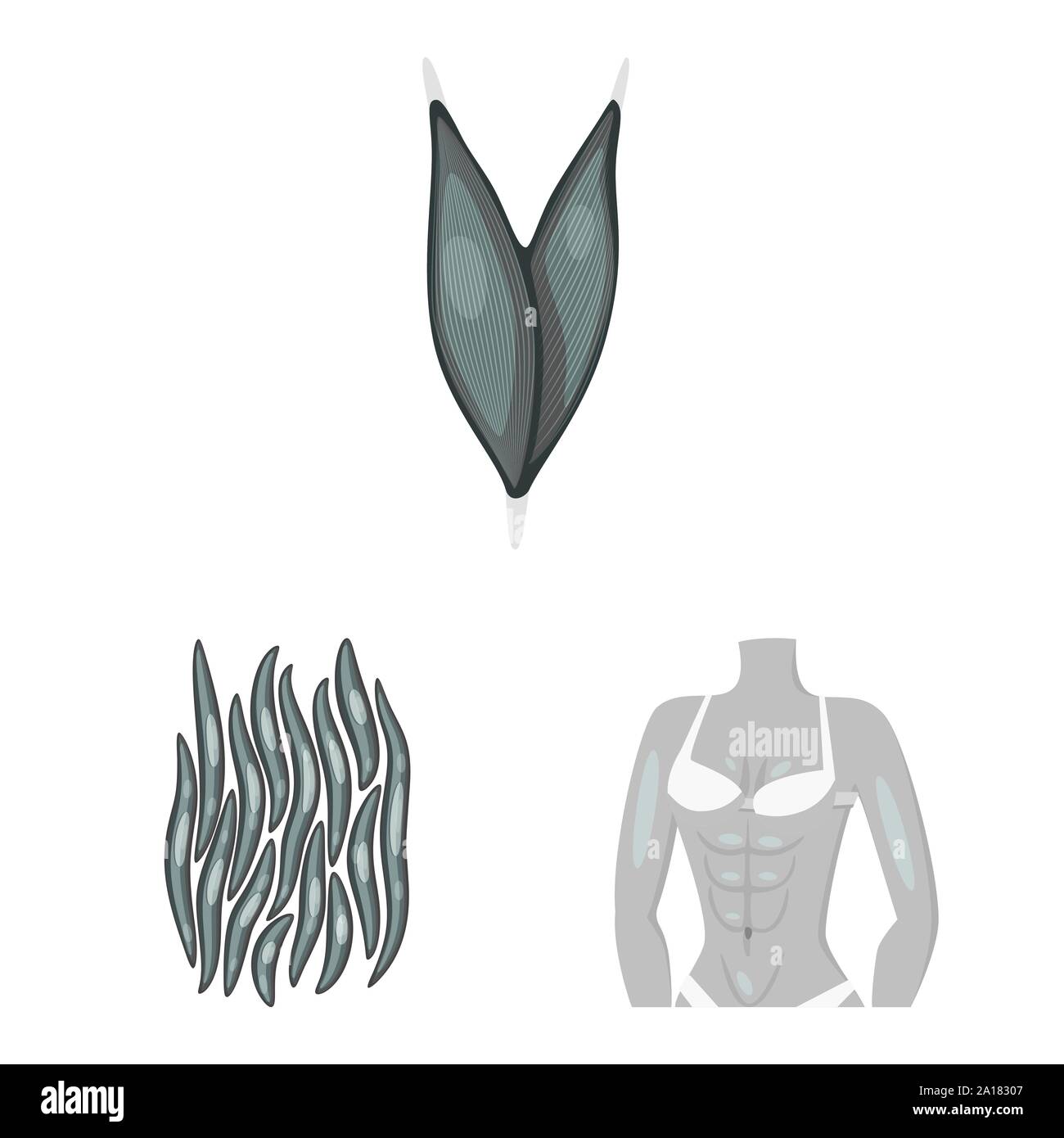 Vector design of human and body logo. Collection of human and cells ...