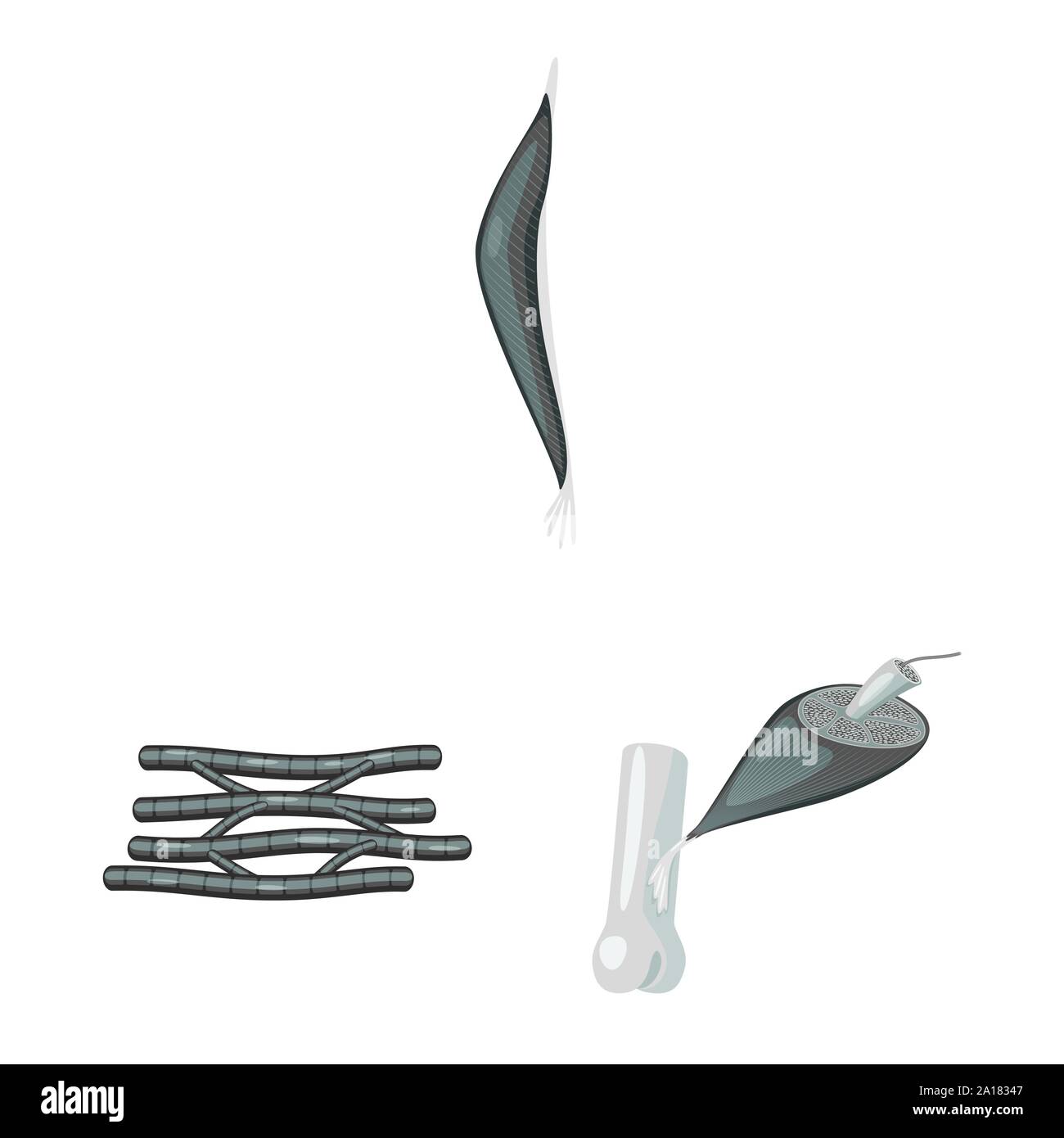 Isolated object of human and body sign. Collection of human and cells ...