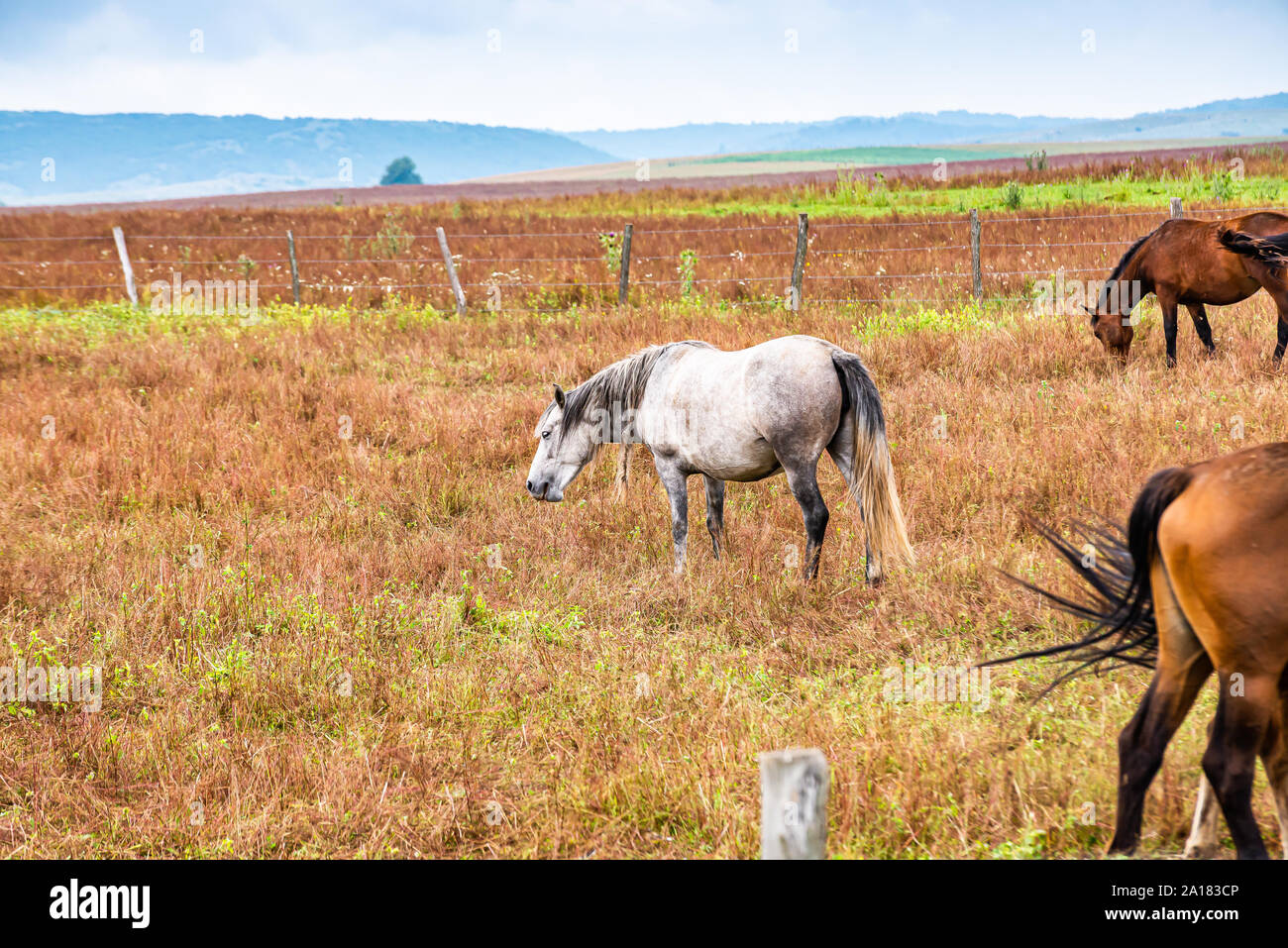 Bunari hi-res stock photography and images - Alamy
