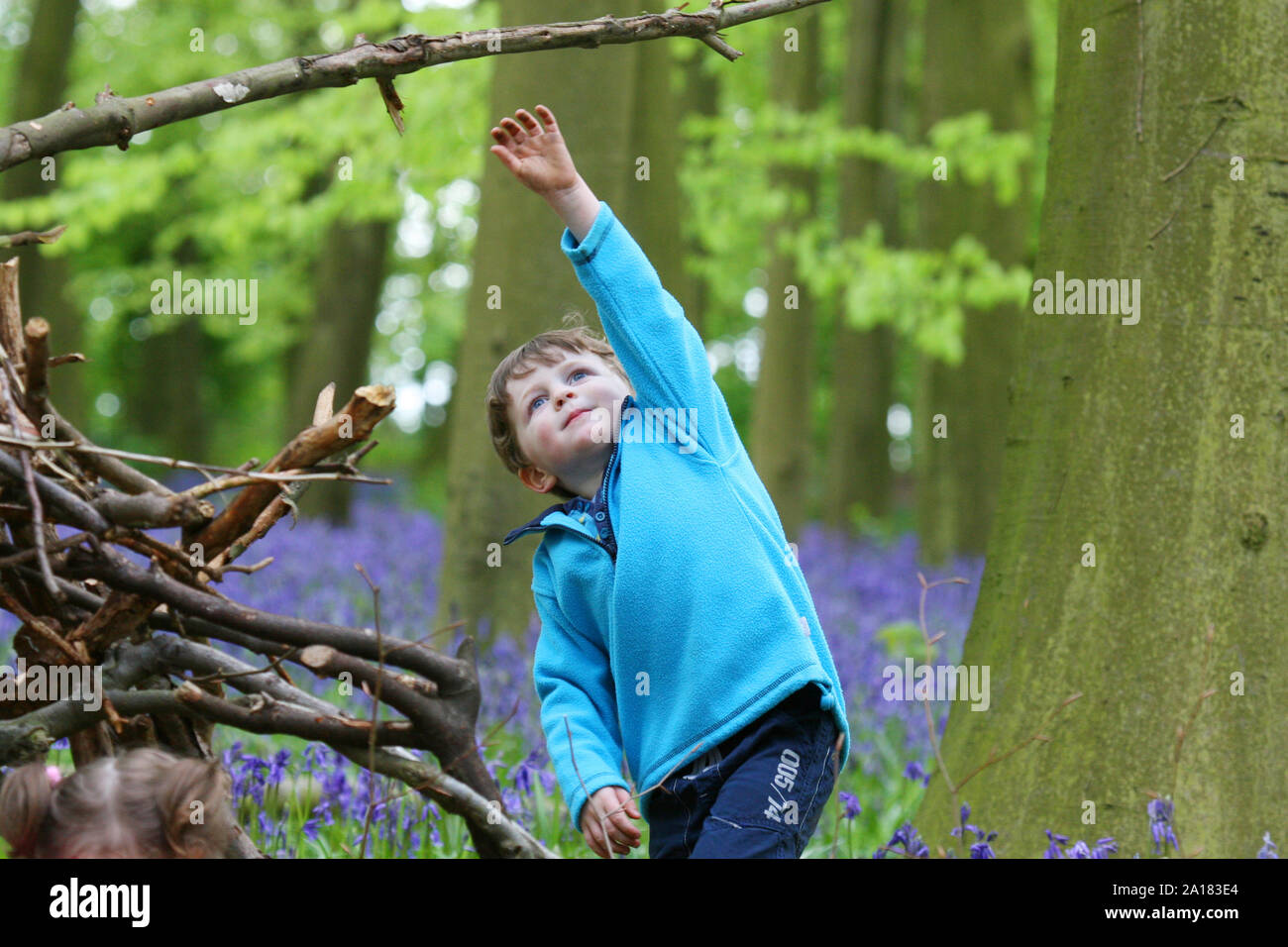 Young boy reaching for a branch in a forest Stock Photo - Alamy