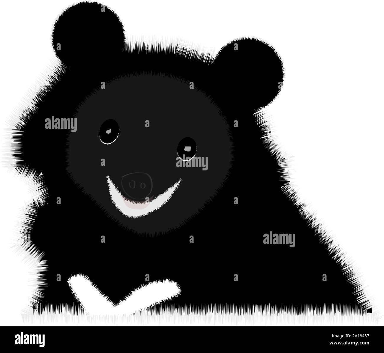 The Formosan black bear or Ursus thibetanus formosanus close-up view in ...