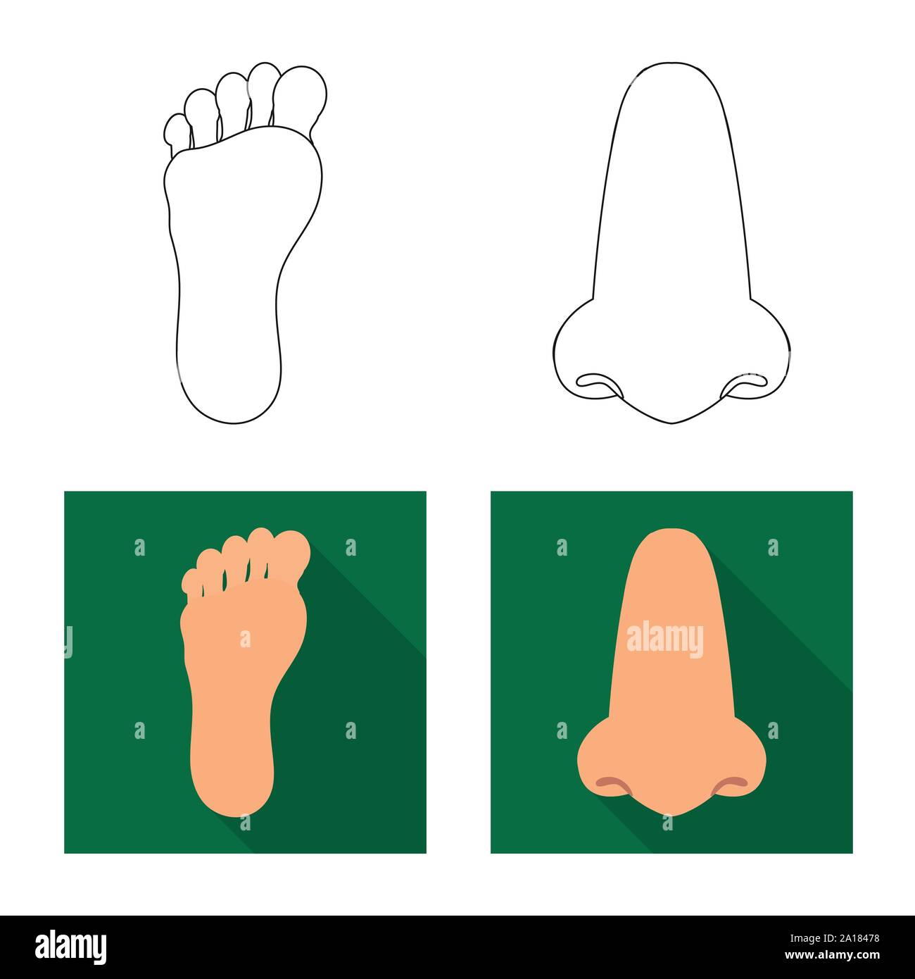 Vector design of body and part logo. Collection of body and anatomy ...