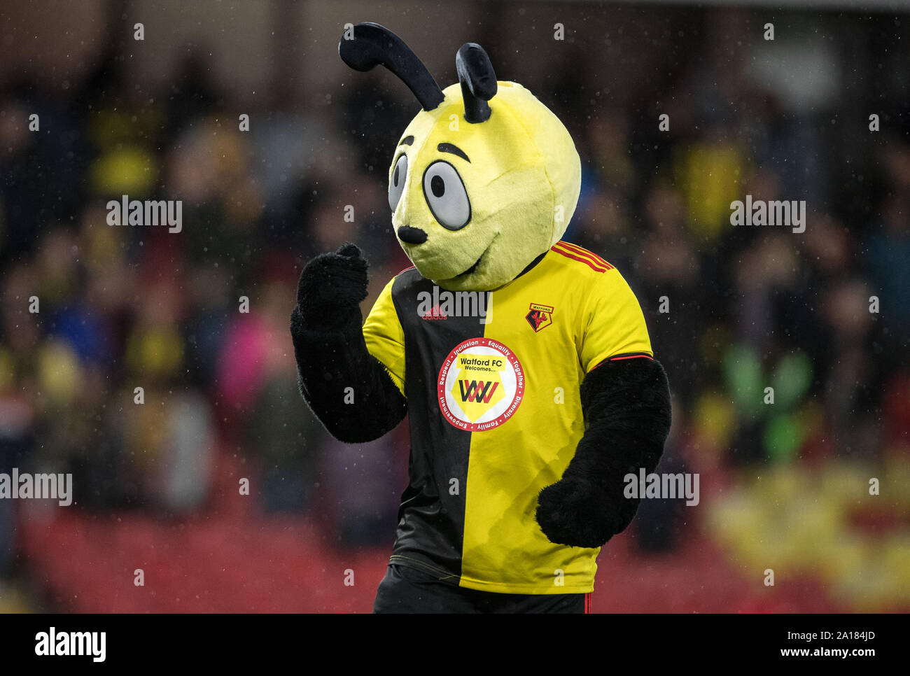 Hornet mascot hi-res stock photography and images - Alamy