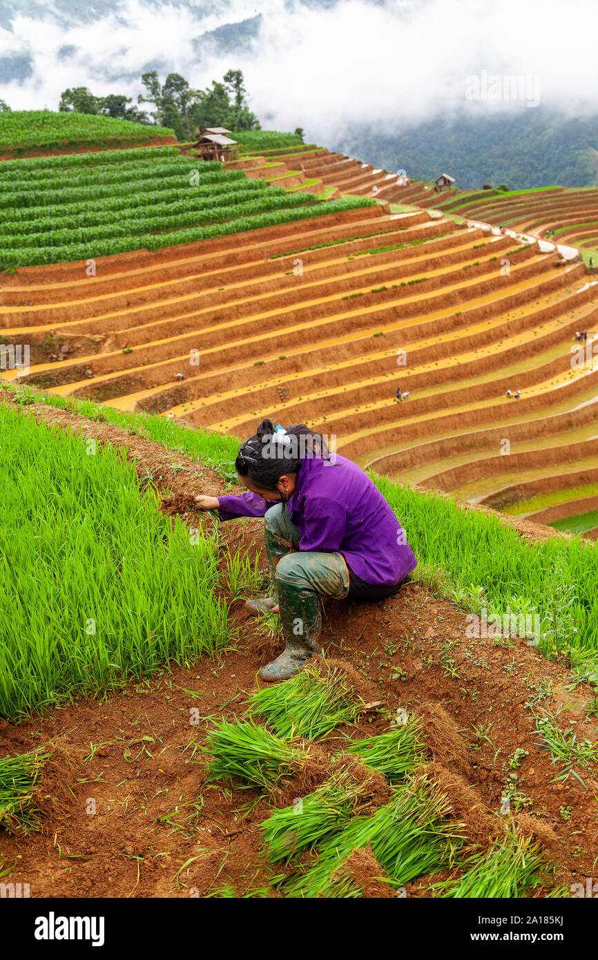 Black hmong woman hi-res stock photography and images - Alamy