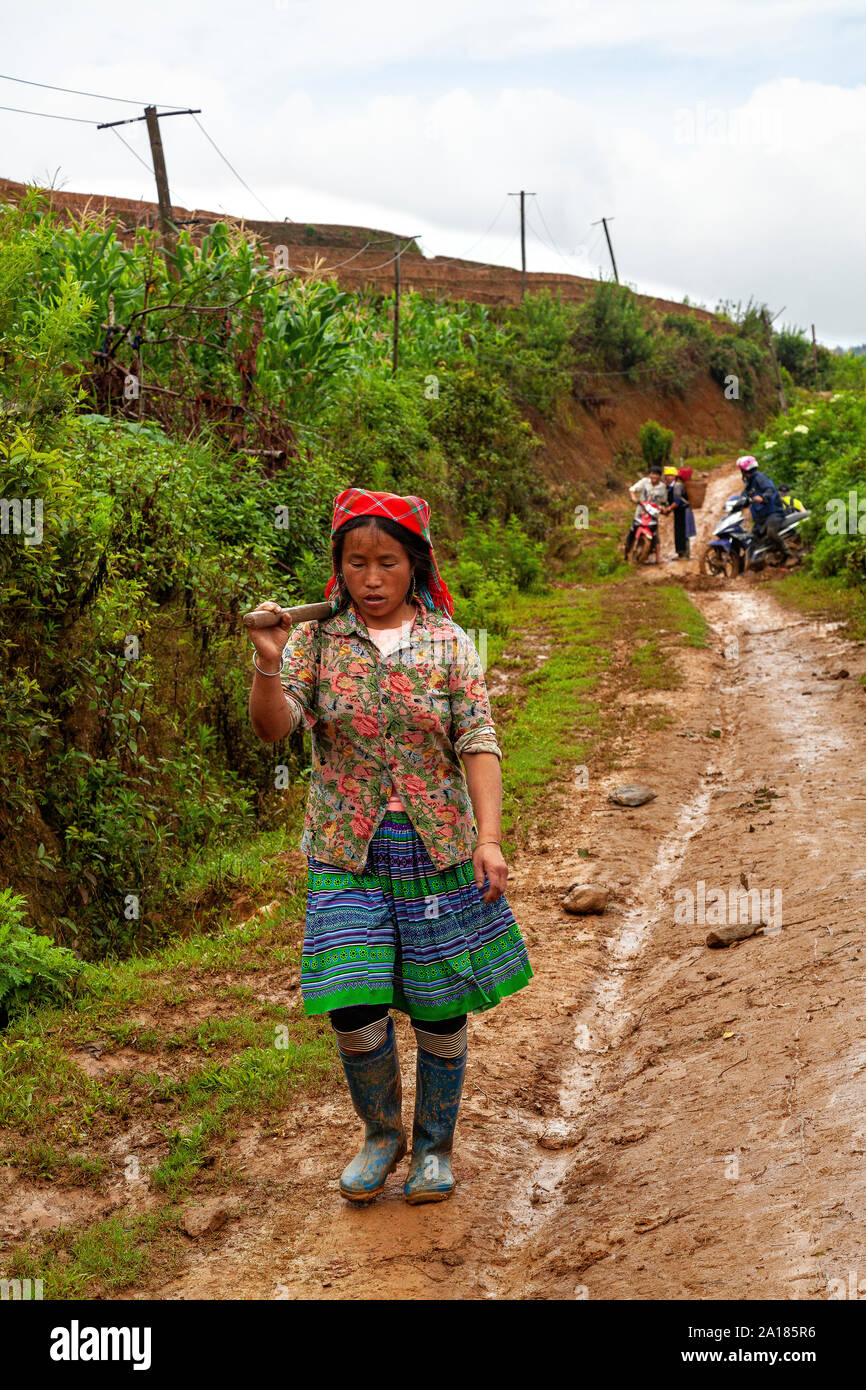 Hmong woman walking on a mountain path in Mu Cang Chai area, Yen Bai ...