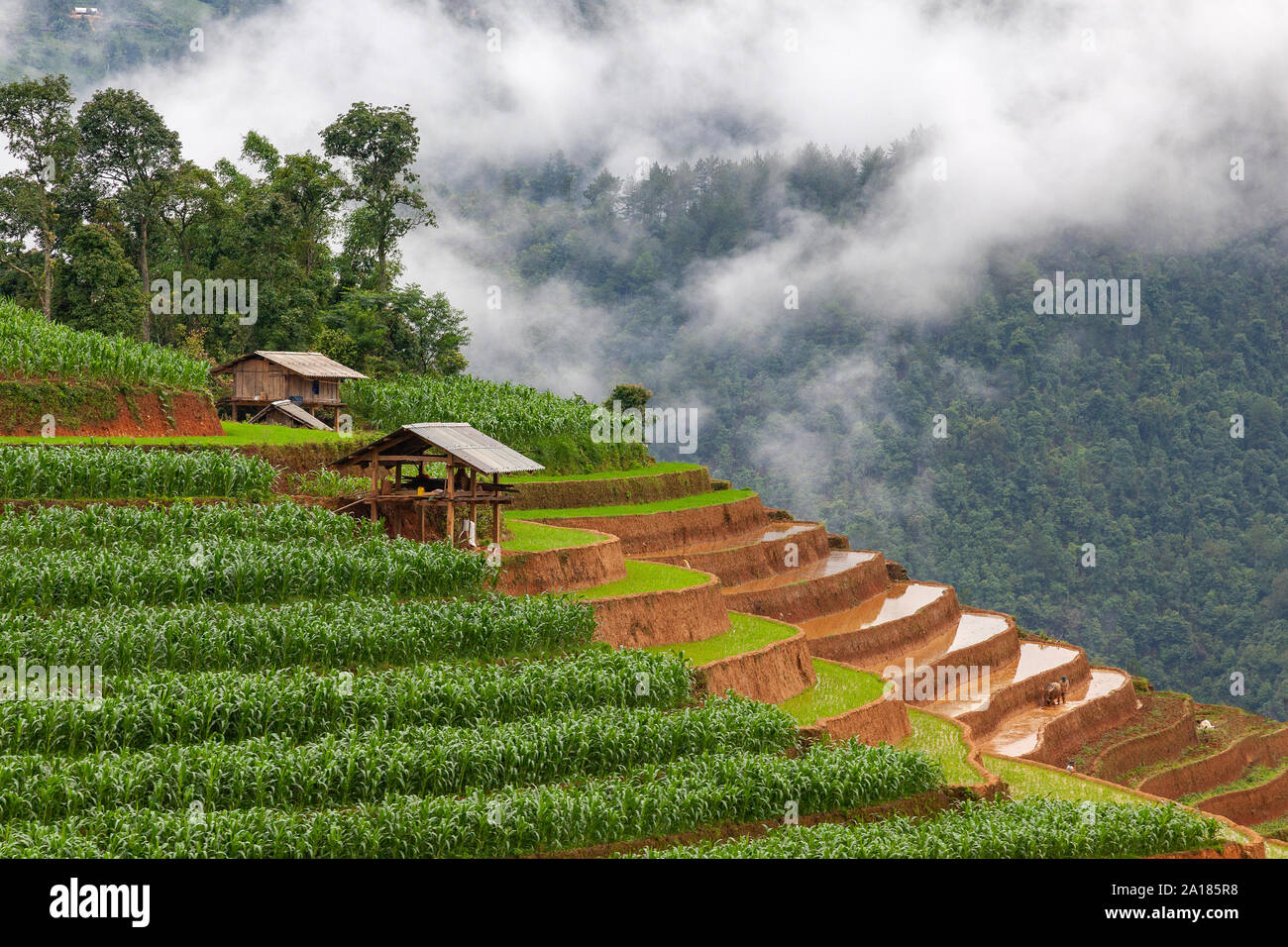Typical corn houses hi-res stock photography and images - Alamy