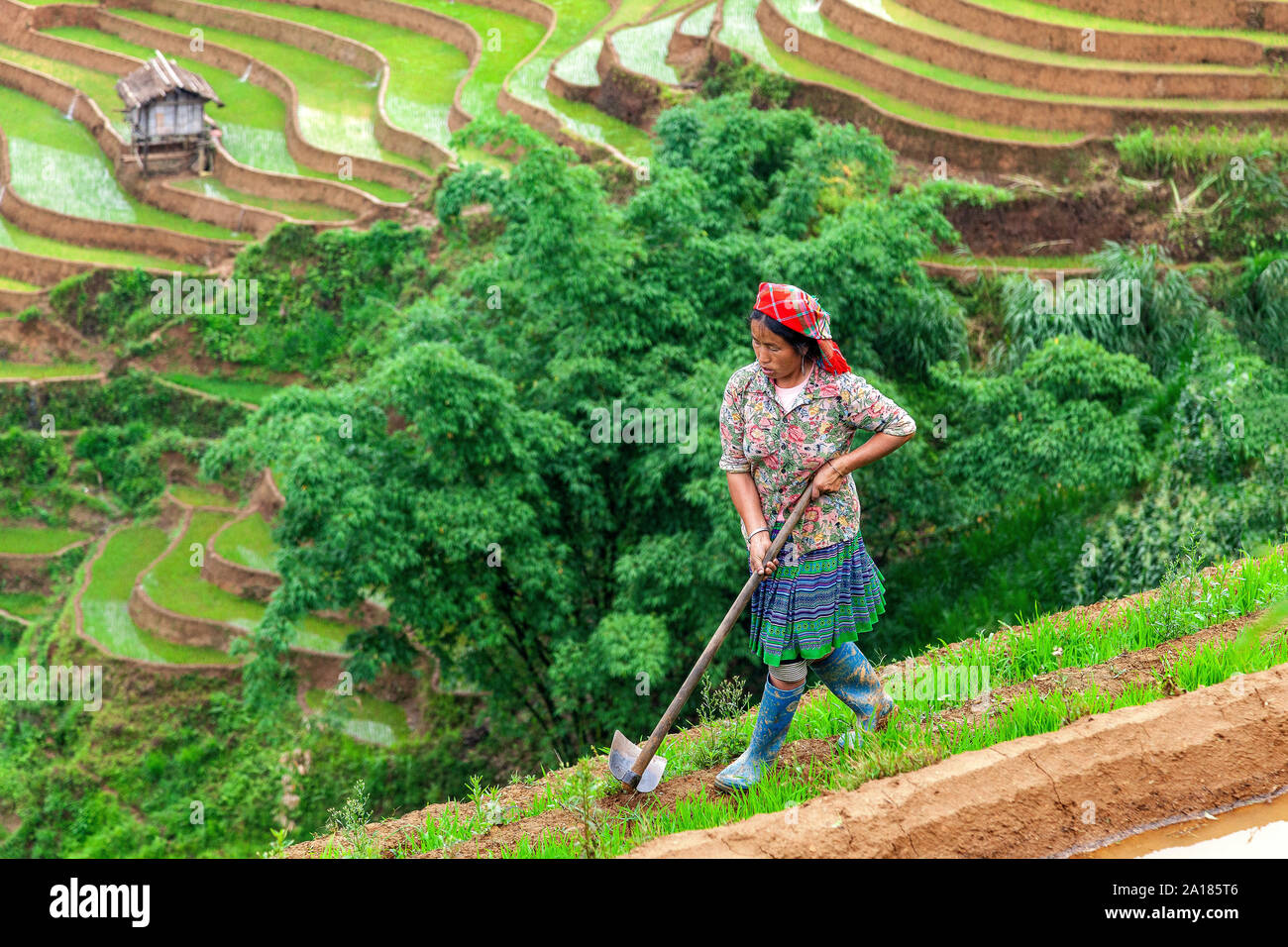 Black hmong female hi-res stock photography and images - Alamy