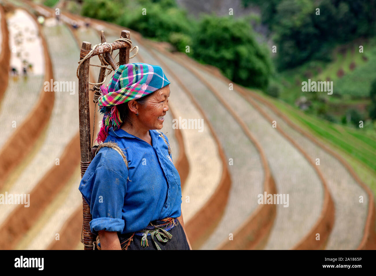 Black Hmong woman working in the rice terraces in Mu Cang Chai area ...