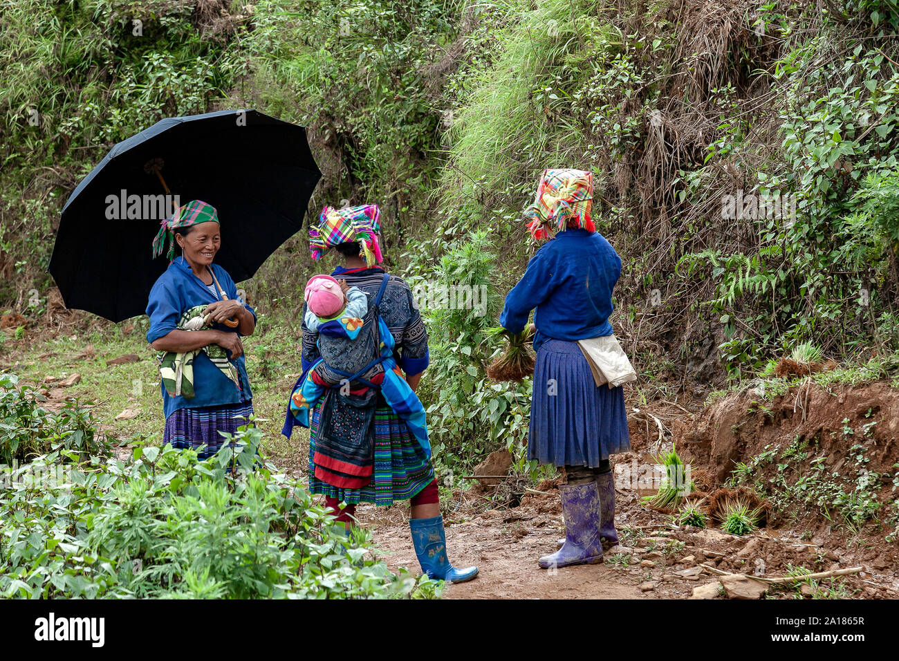 Black Hmong women meeting on a mountain path, in the Mu Cang Chai area ...