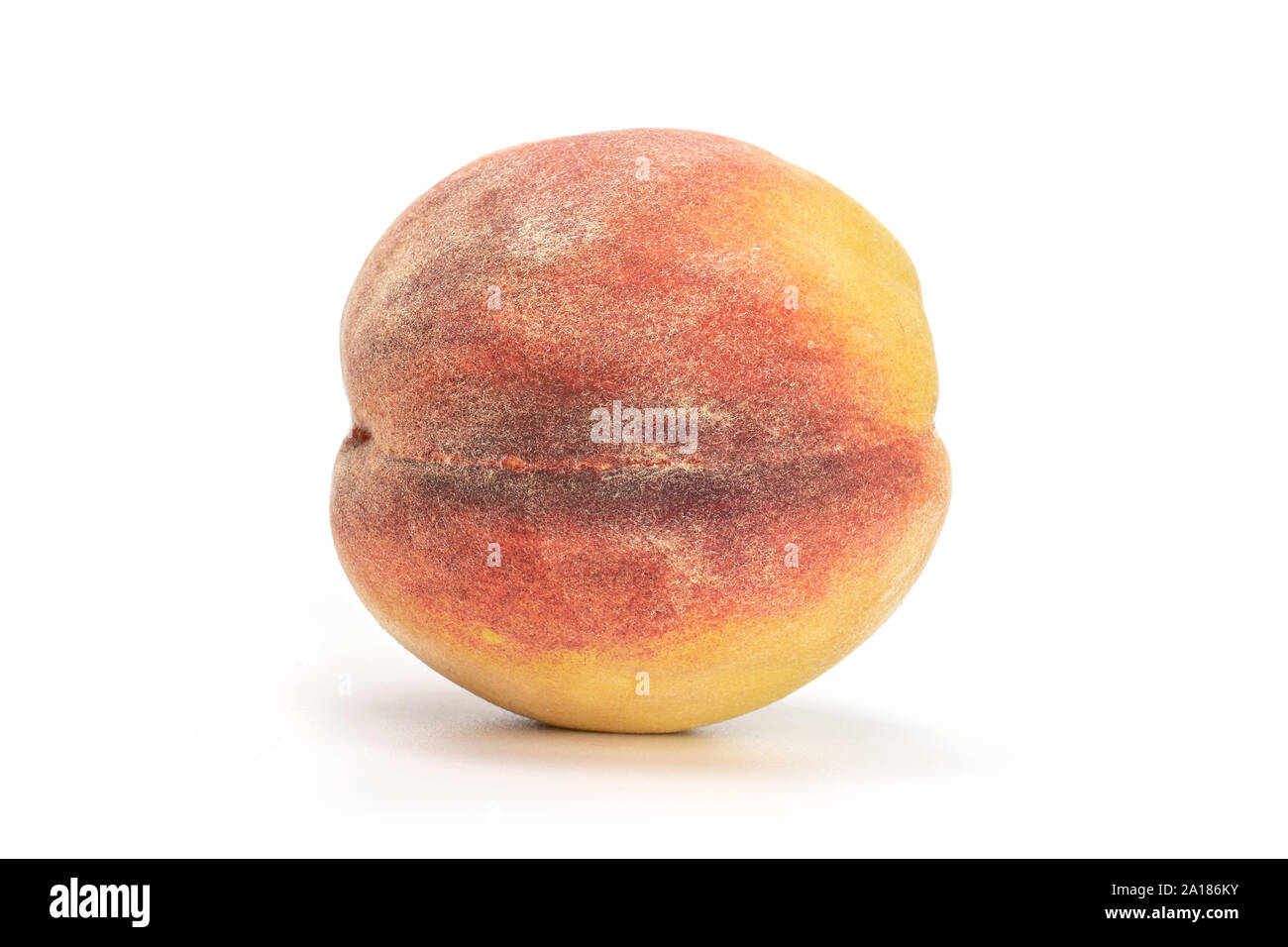 Orange peach rose on Cut Out Stock Images & Pictures - Alamy