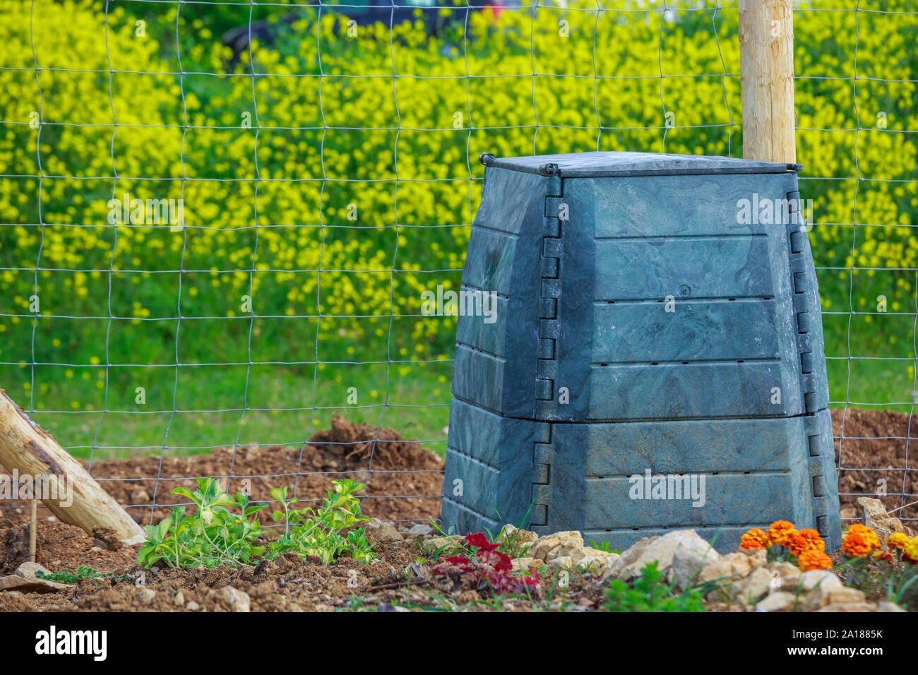 Black plastic compost bin and small wooden cabin in town garden Stock ...
