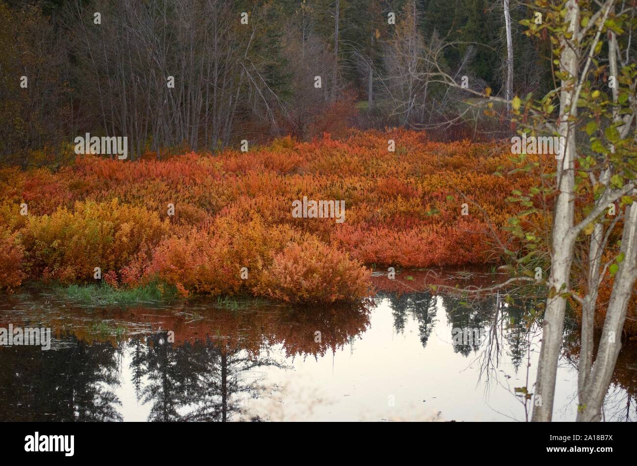 Fire On the Water Stock Photo - Alamy