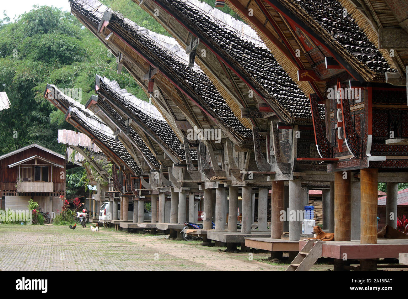 traditional house views with a combination of rice fields that are ...