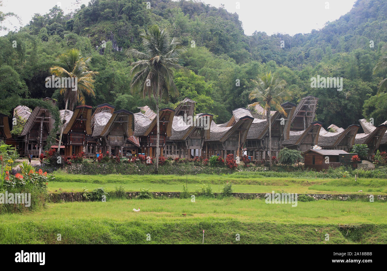 the view of a traditional house in Tana Toraja Stock Photo - Alamy