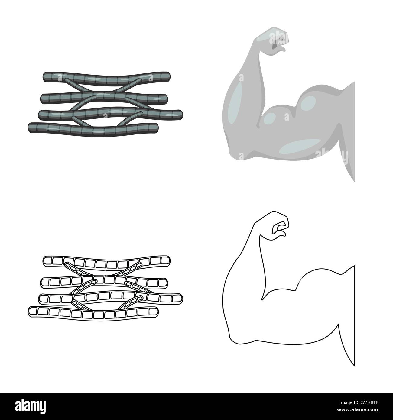 Muscle fibers Black and White Stock Photos & Images - Alamy