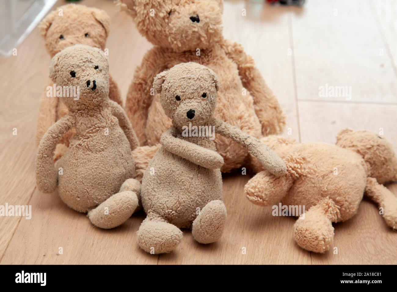 Stuffed animal crew hanging out Stock Photo - Alamy