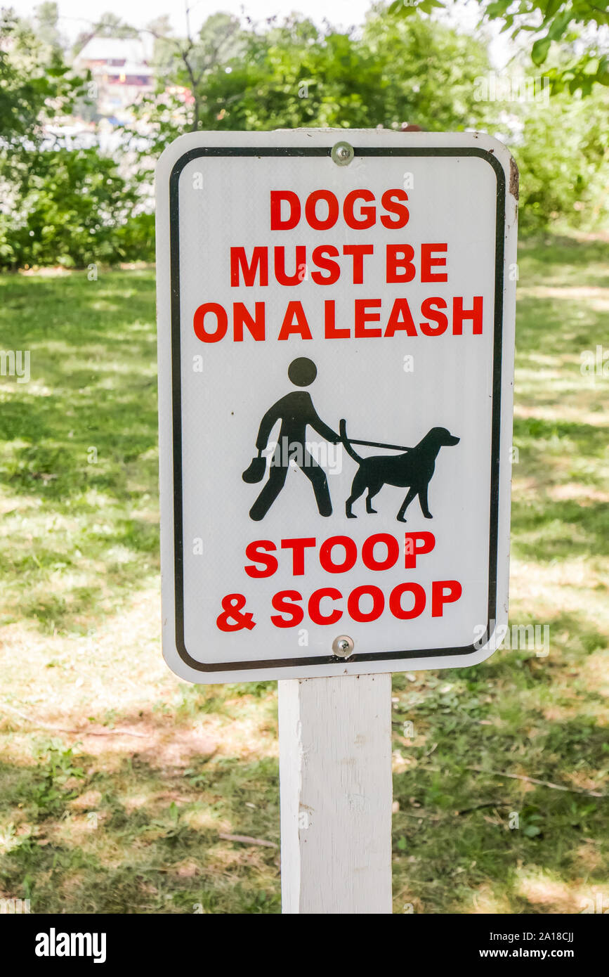 dogs must be on a leash sign at a park Stock Photo - Alamy