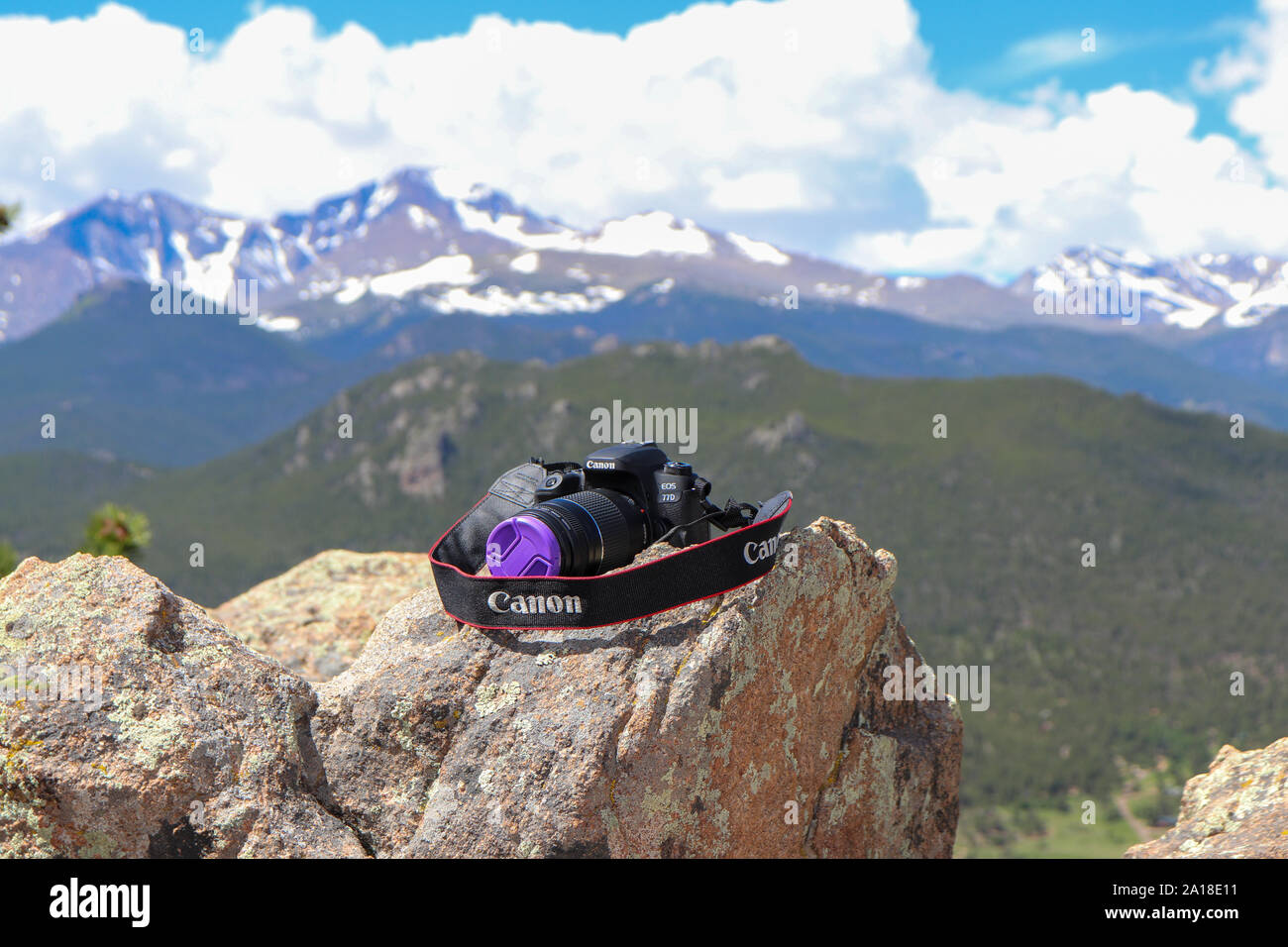 Live view camera canon hi-res stock photography and images - Alamy