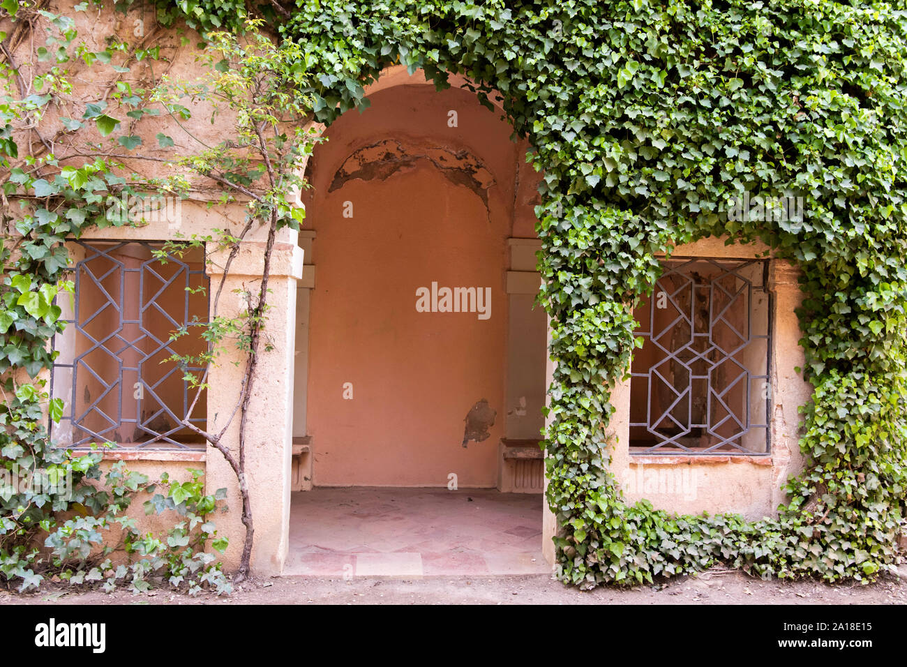 Vine grass hi-res stock photography and images - Alamy