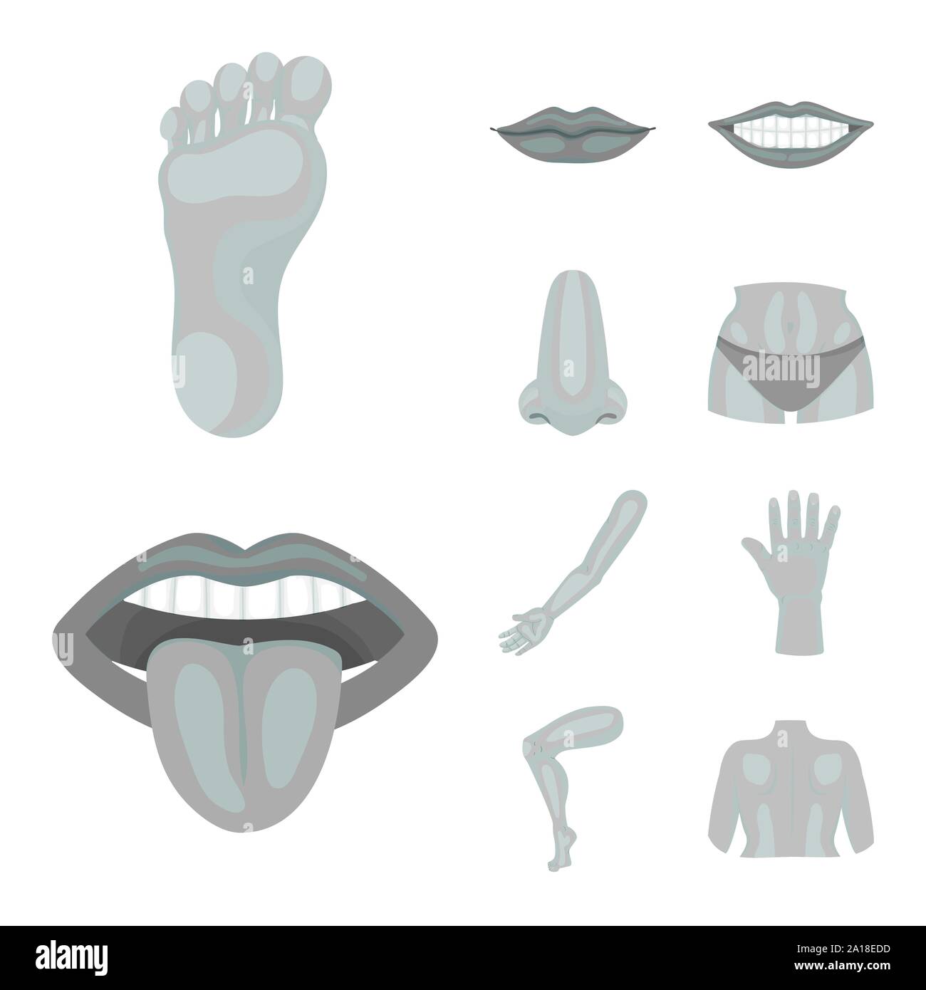 Vector illustration of body and part symbol. Set of body and anatomy ...