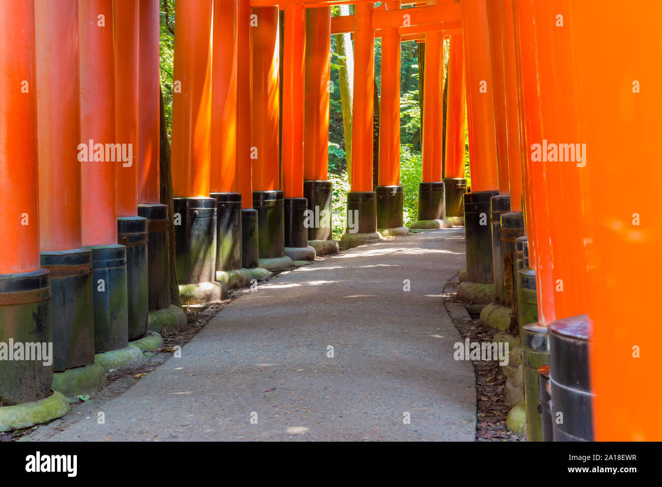 Torii leading to the outer shrine. Fushimi Inari Taisha is the head ...