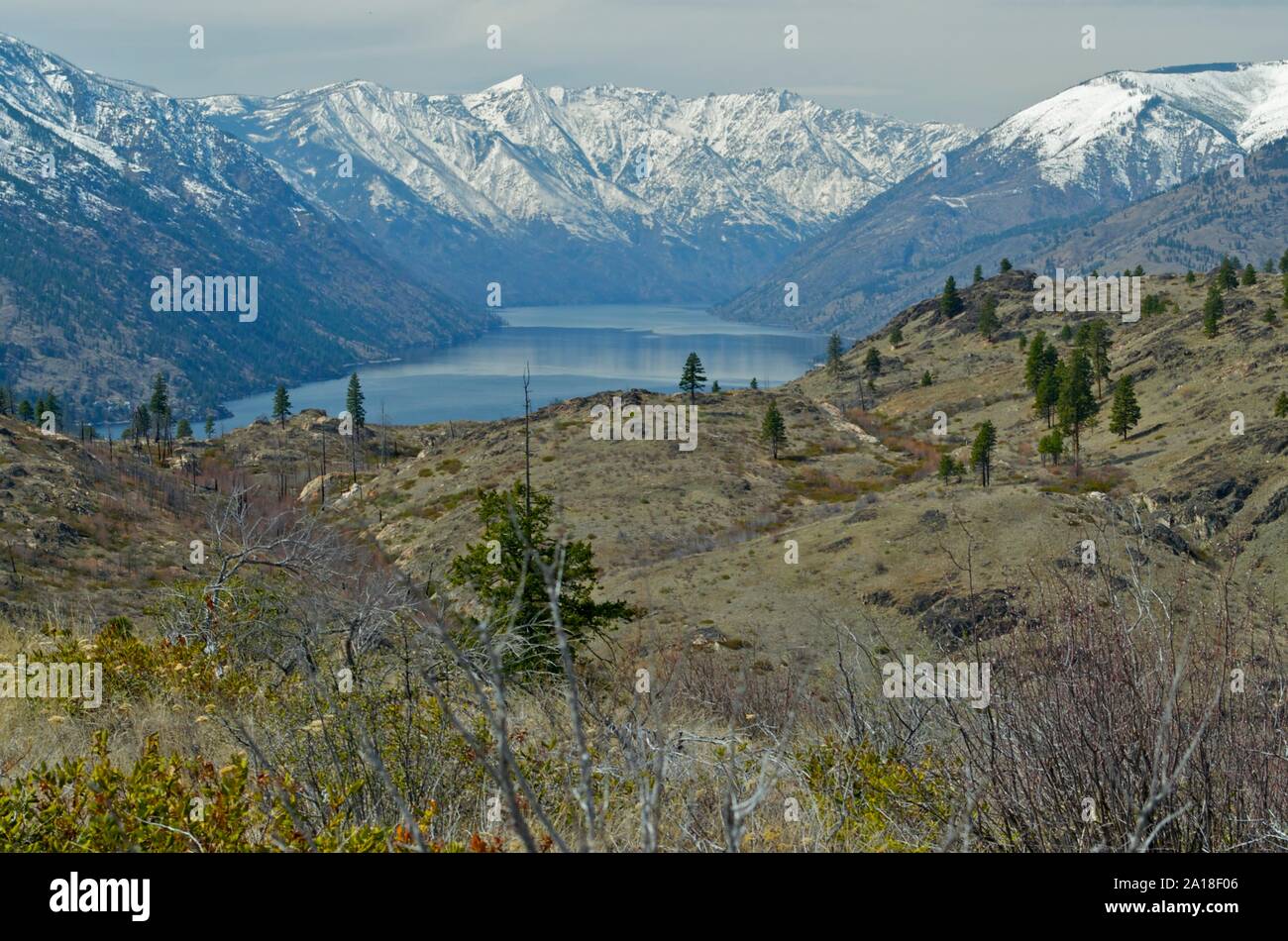 Deepest spring hi-res stock photography and images - Alamy