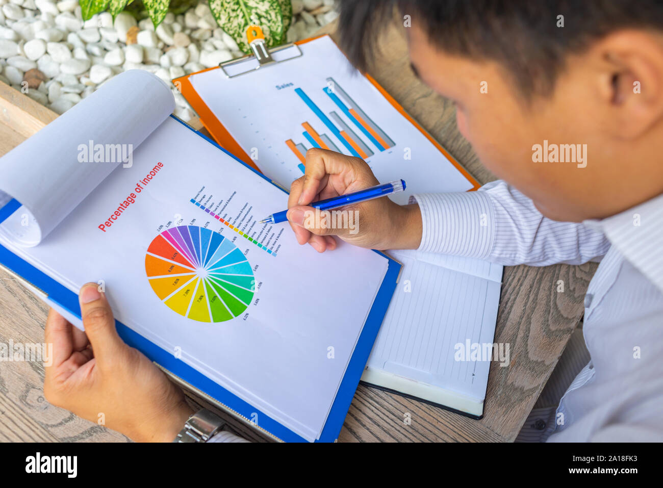 Businessman Analyzing Pie Chart High Resolution Stock Photography and ...