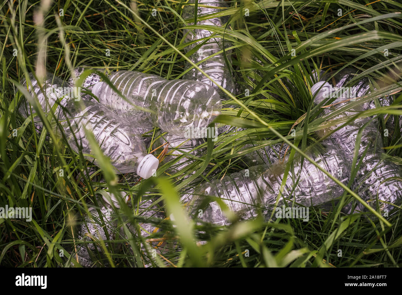 Plastic bottles in the green grass. Problem in the natural environment ...