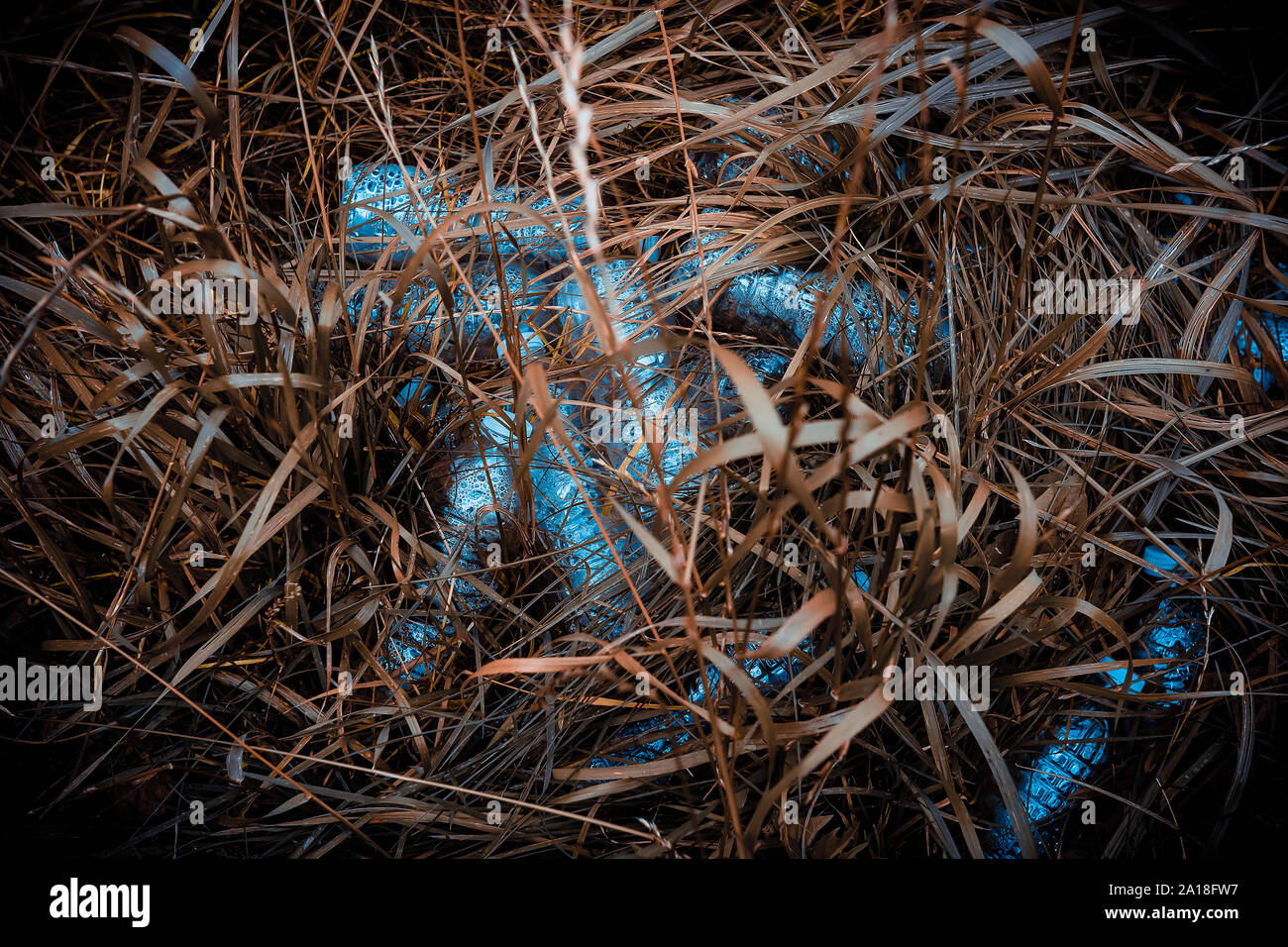 Plastic bottles in the dried grass. Problem in the natural environment ...
