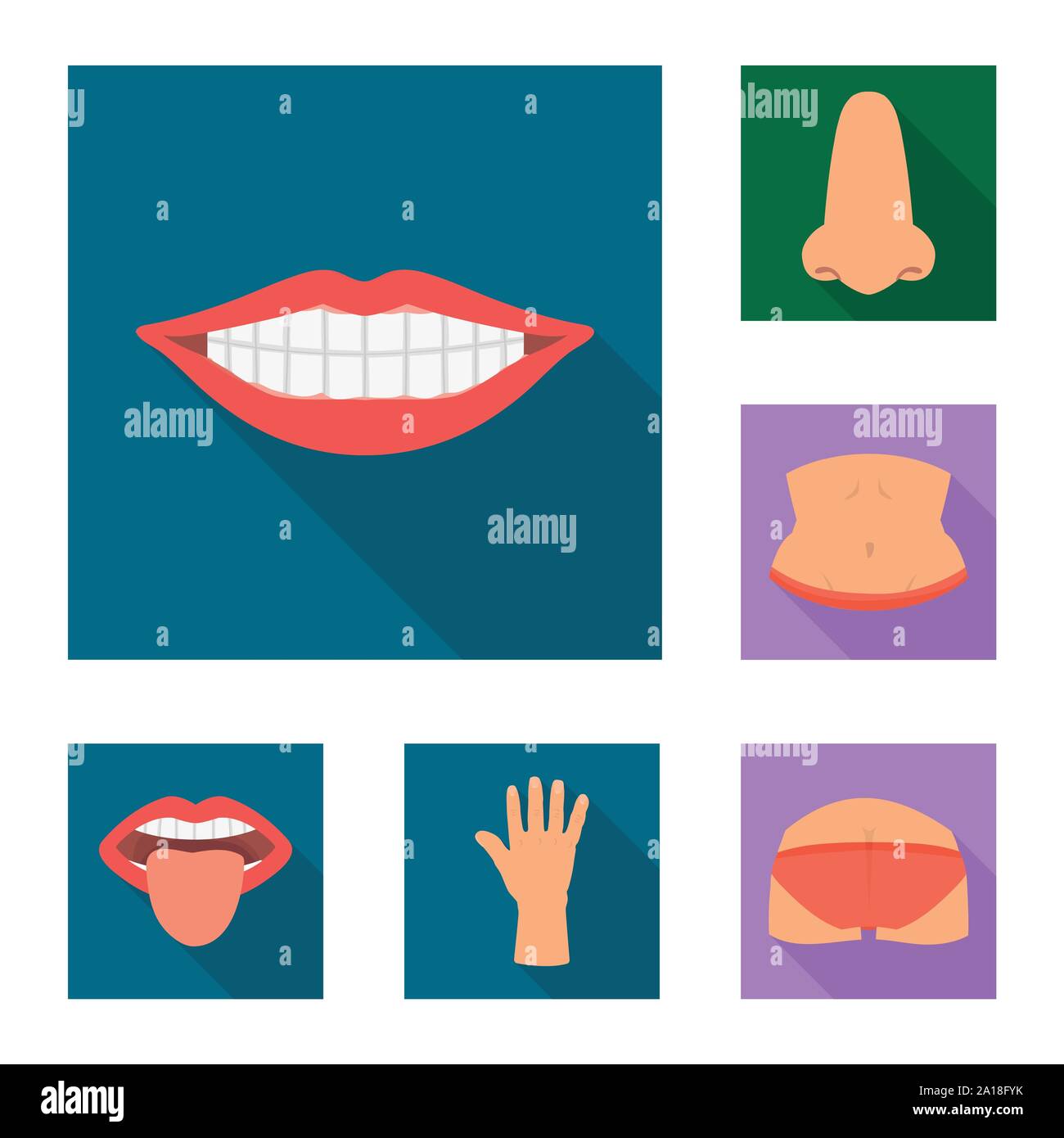 Isolated object of body and part sign. Collection of body and anatomy stock vector illustration ...