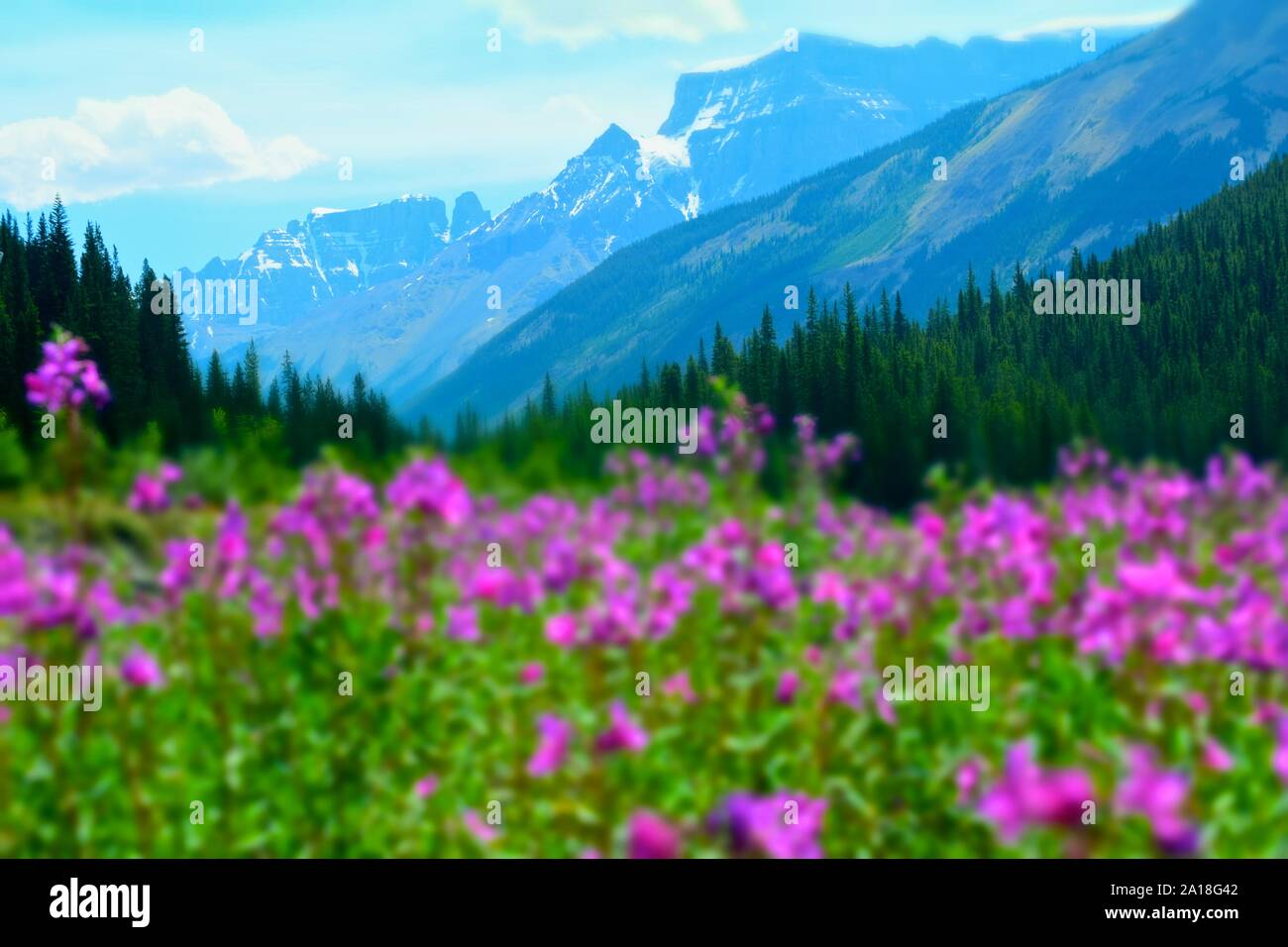 Eastern canadian hi-res stock photography and images - Alamy