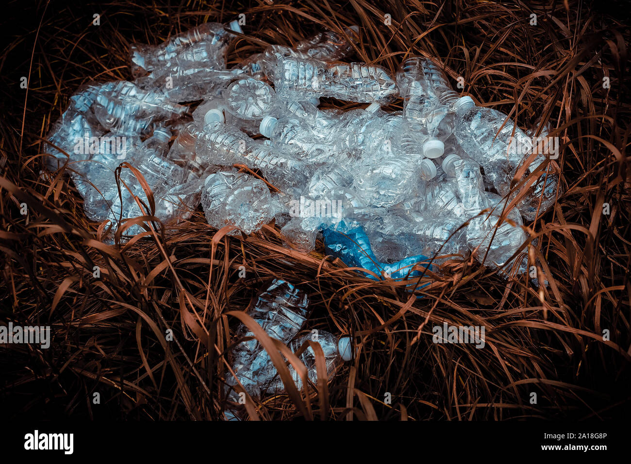 Plastic bottles in the dried grass. Problem in the natural environment ...
