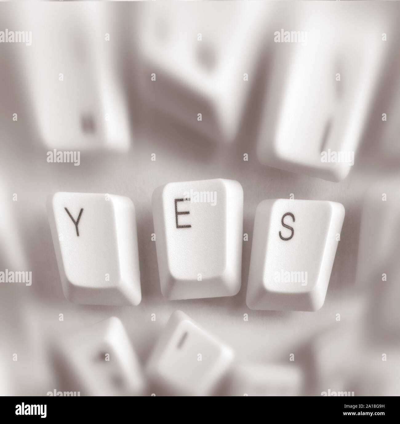 Computer keyboard accept hi-res stock photography and images - Alamy