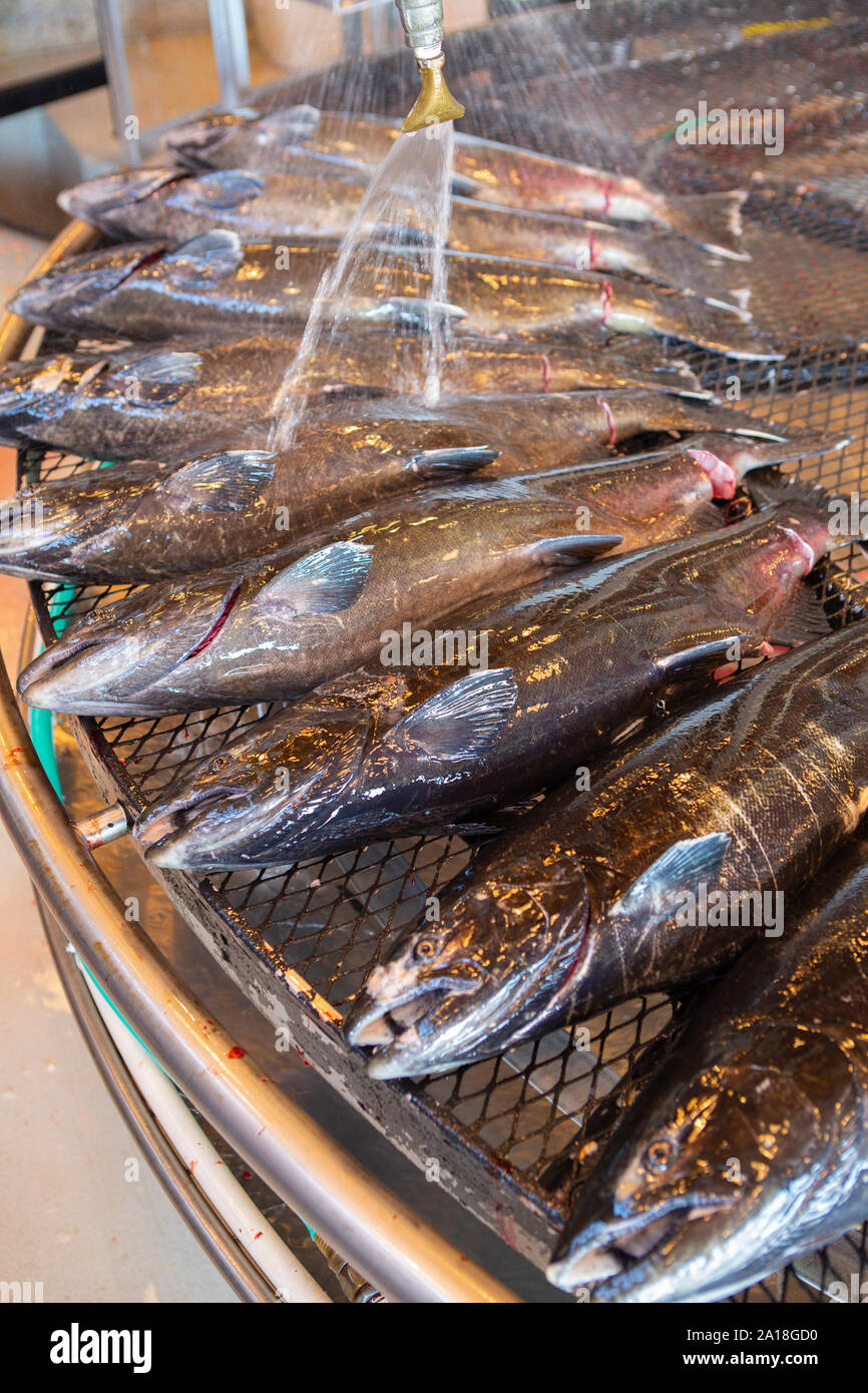 Spring creek national fish hatchery hi-res stock photography and images ...
