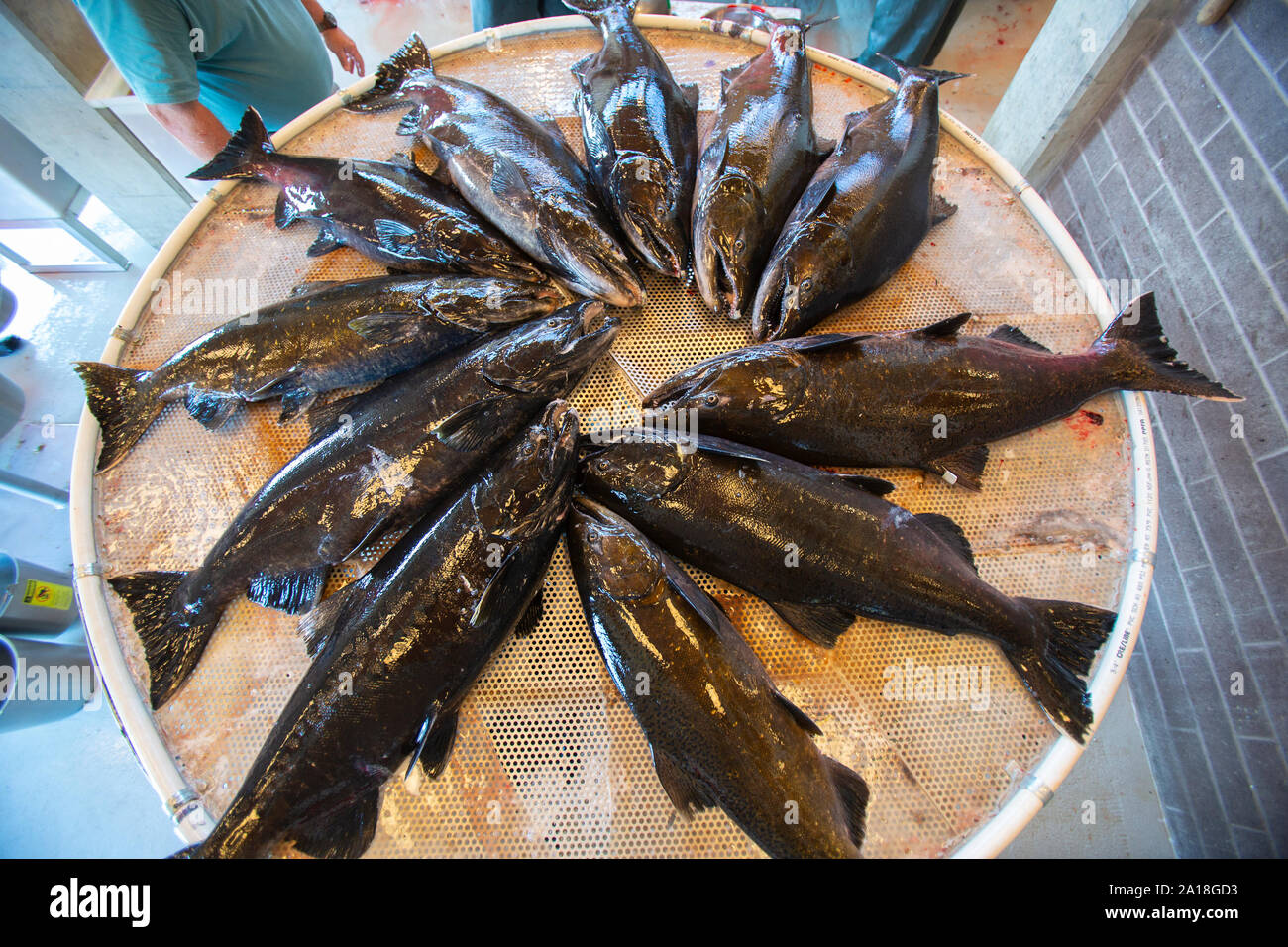Spring creek national fish hatchery hi-res stock photography and images ...