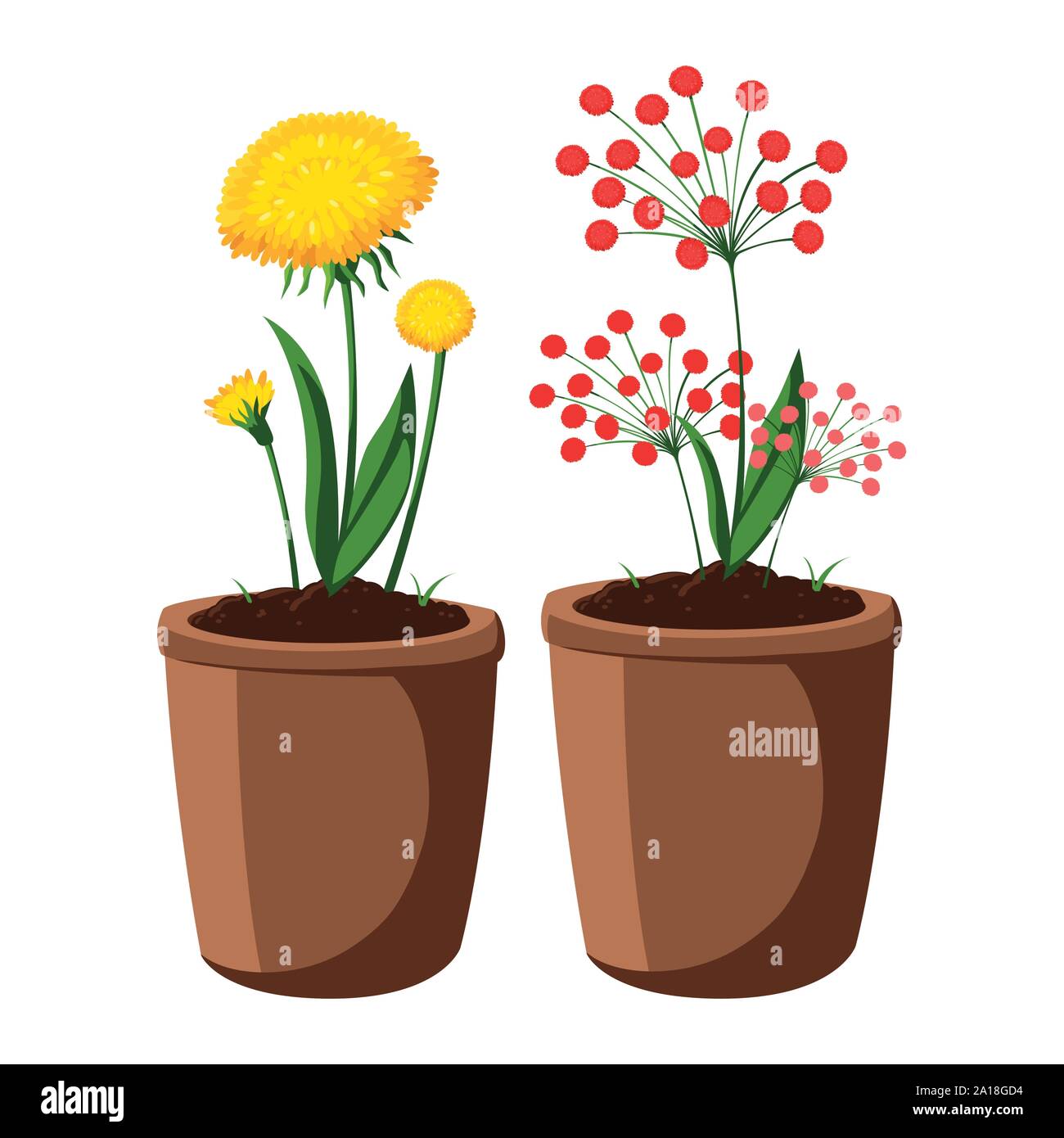 patch of houseplant in pot vector illustration design Stock Vector ...