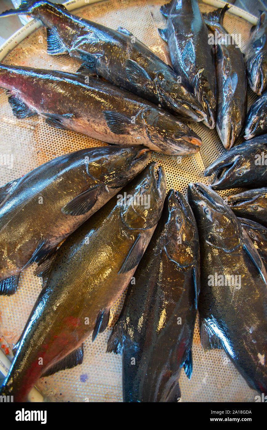 Spring creek national fish hatchery hi-res stock photography and images ...