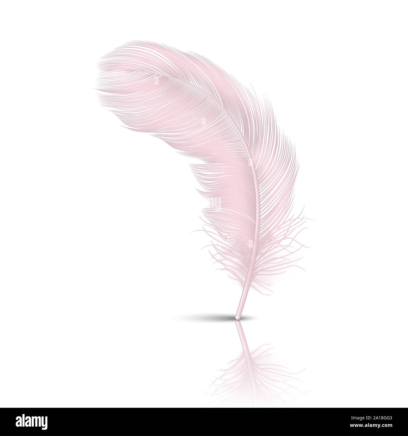 Vector 3d Realistic Falling Pink Flamingo Fluffy Twirled Feather with ...