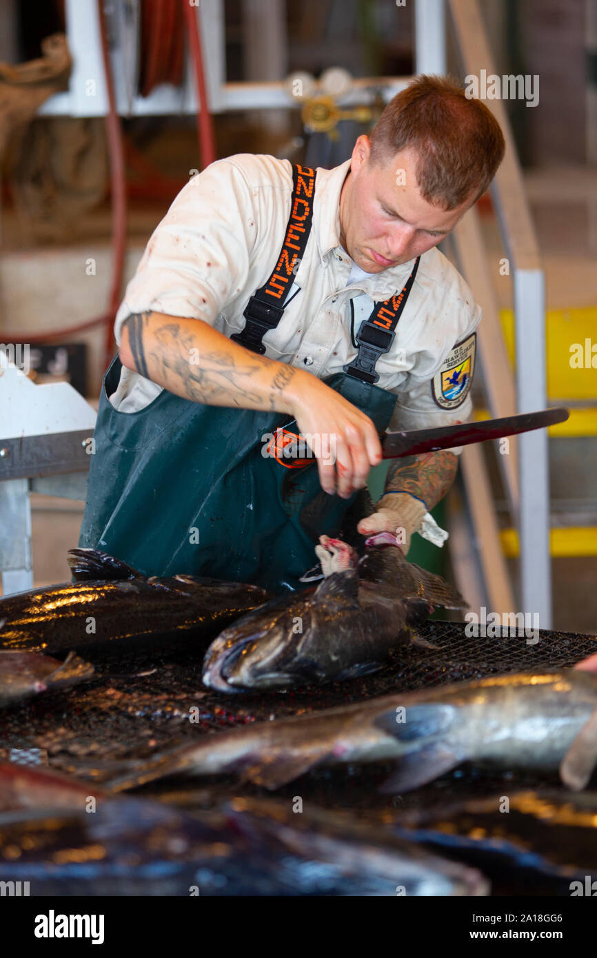 Fish Hatchery Employee