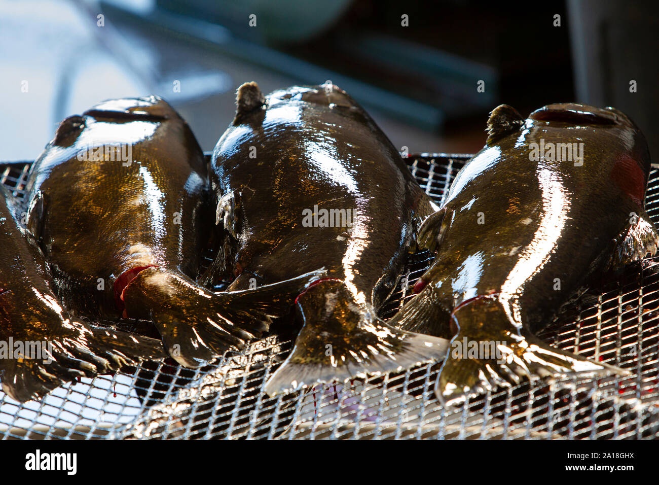 Spring creek national fish hatchery hi-res stock photography and images ...