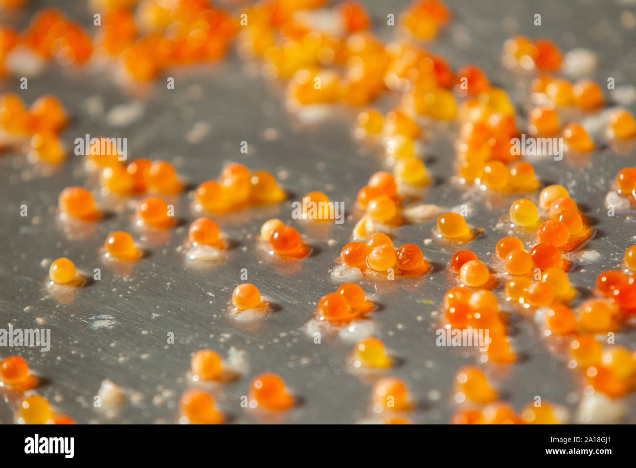 Spring creek national fish hatchery hi-res stock photography and images ...