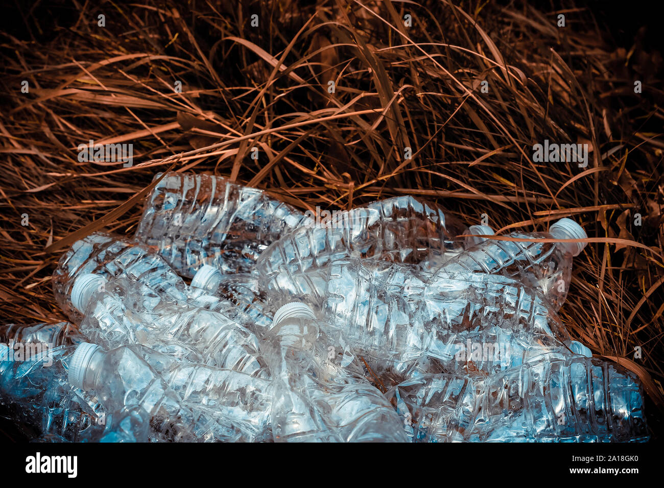 Plastic bottles in the dried grass. Problem in the natural environment ...