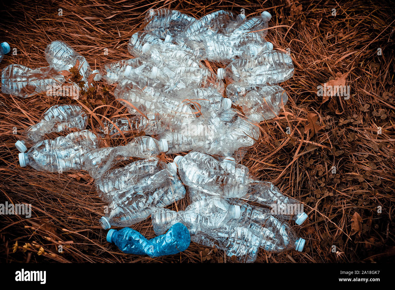 Plastic bottles in the dried grass. Problem in the natural environment ...