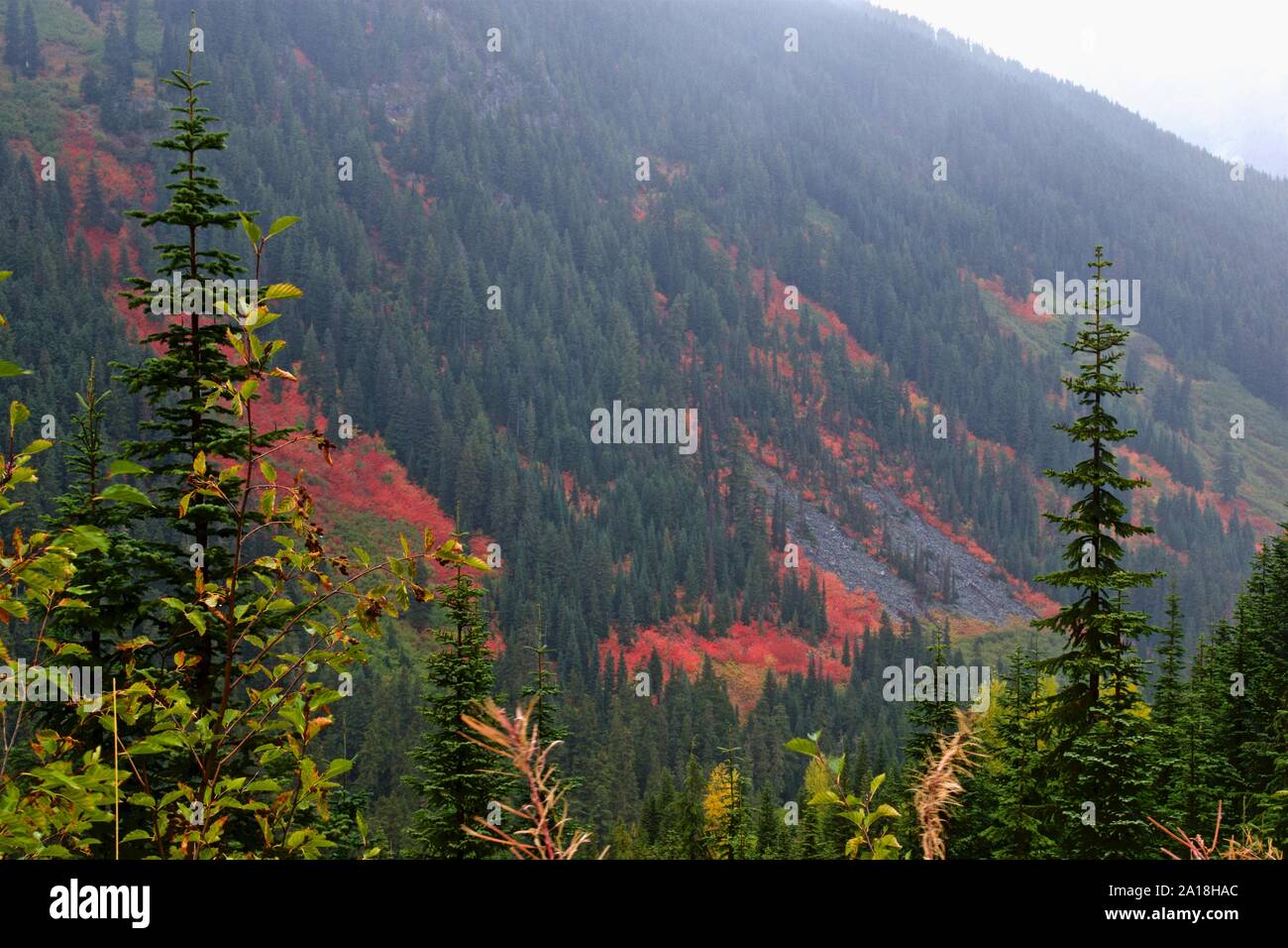Fire On The Mountain Stock Photo - Alamy