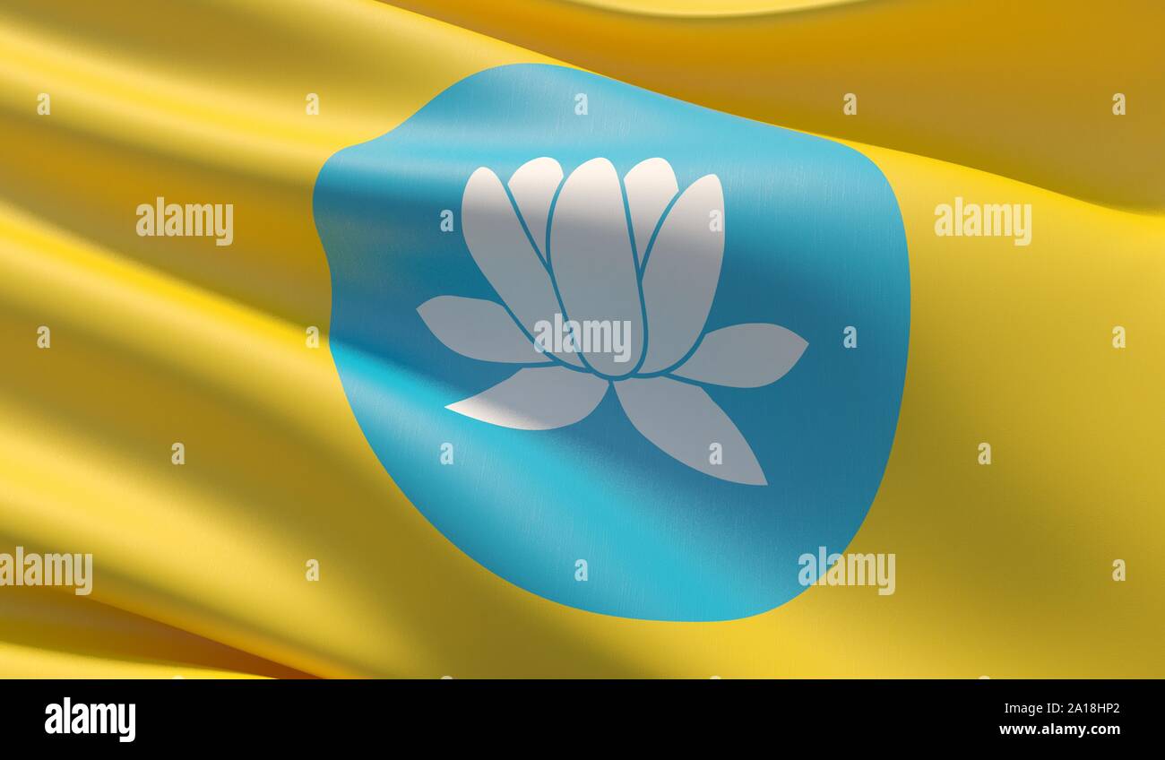 Flags of the federal subjects of Russia Stock Photo - Alamy