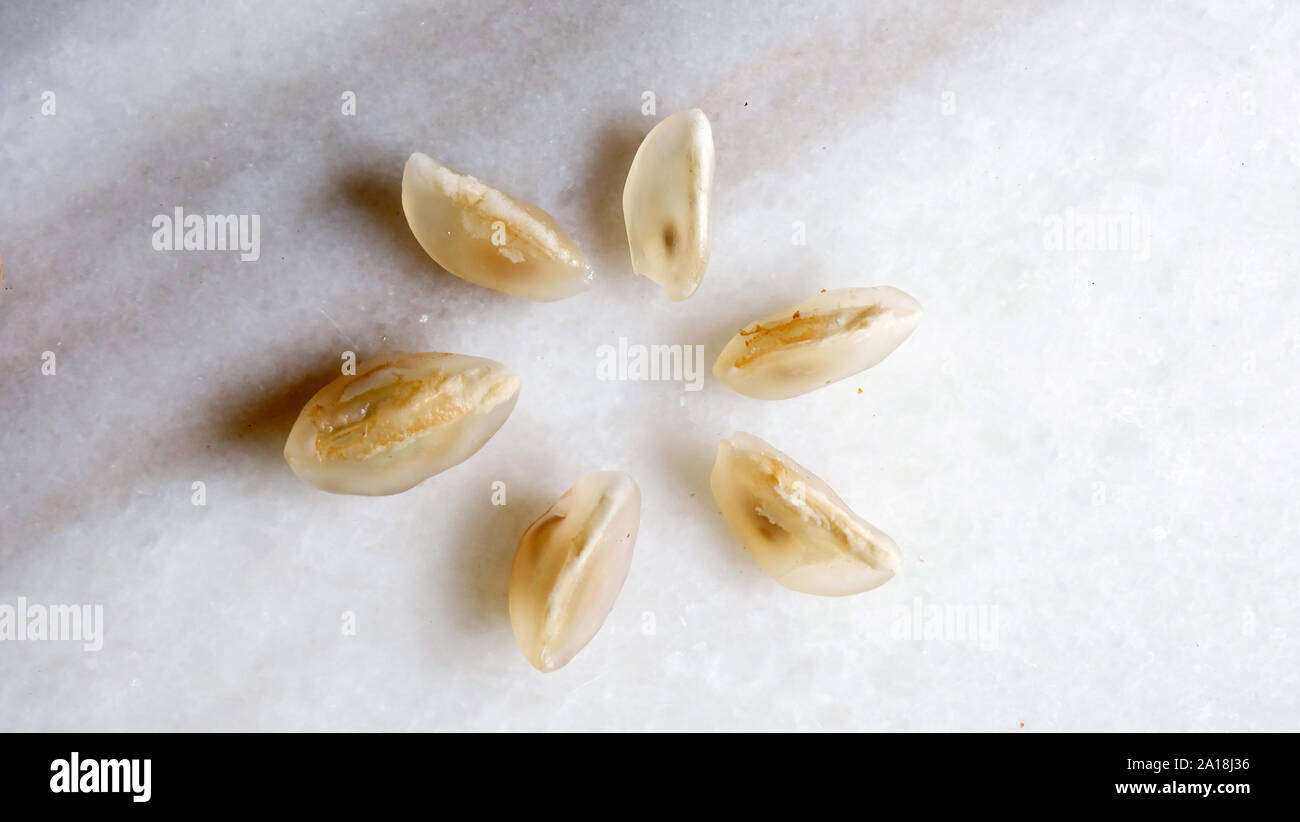 Langsat or lanzones, an edible tropical fruit. Scientic name Lansium ...