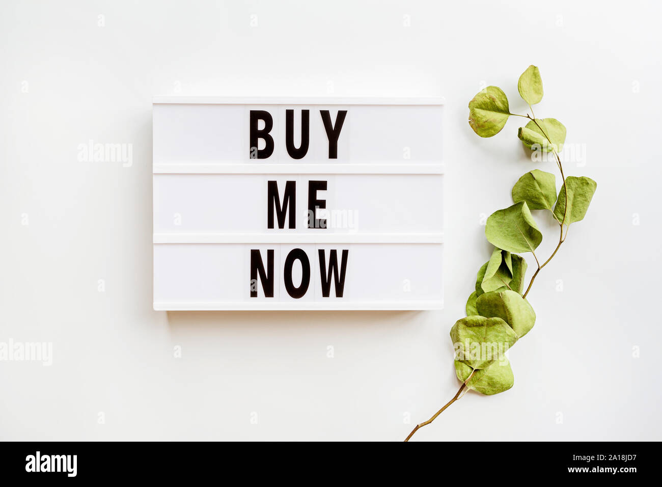 Creative promotion composition buy me now text on lightbox, eucalyptus ...