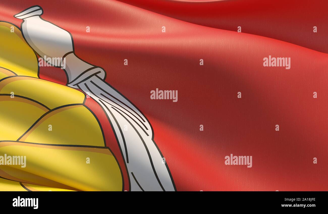 Flags of the federal subjects of Russia Stock Photo - Alamy