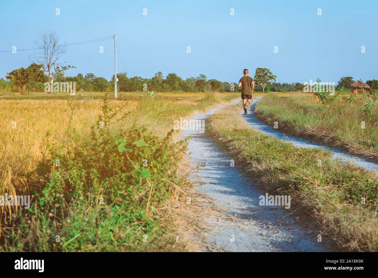 Back view of man running and exercising on the path through the rice ...