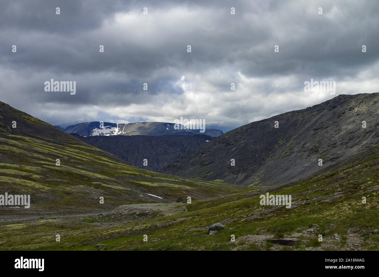 Mountain tundra with mosses and rocks covered with lichens, Hibiny ...
